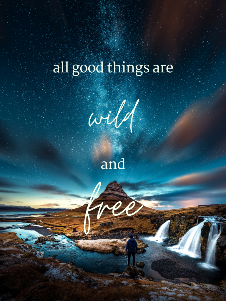 55 Beautiful Outdoor Quotes to Make You Want to Go Outside | Happily ...