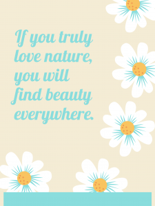55 Beautiful Outdoor Quotes to Make You Want to Go Outside | Happily ...