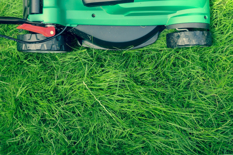 How to Get Thick, Green Grass Organically | Happily Outside